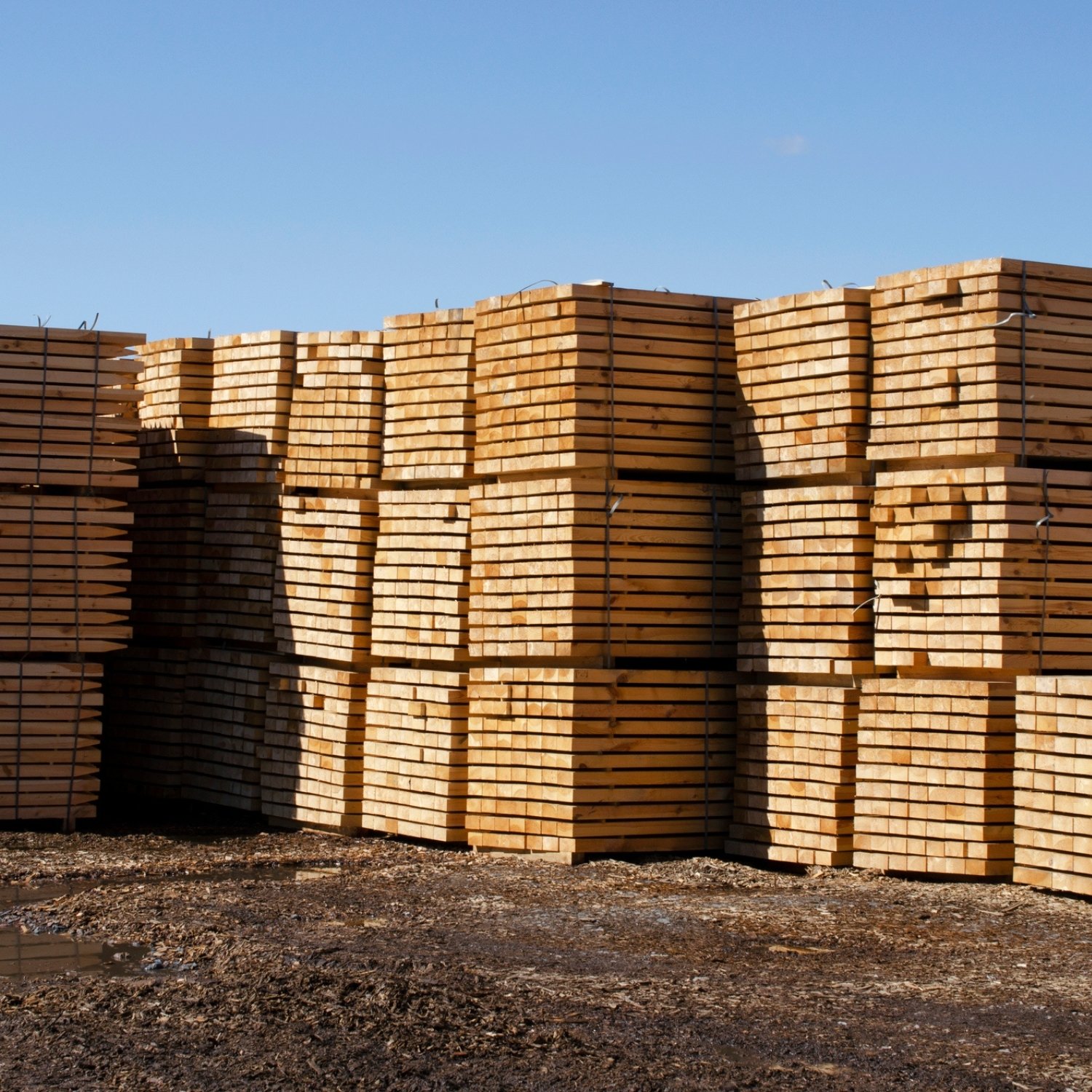 Warehouse Labels: Custom Warehouse Labelling Solutions